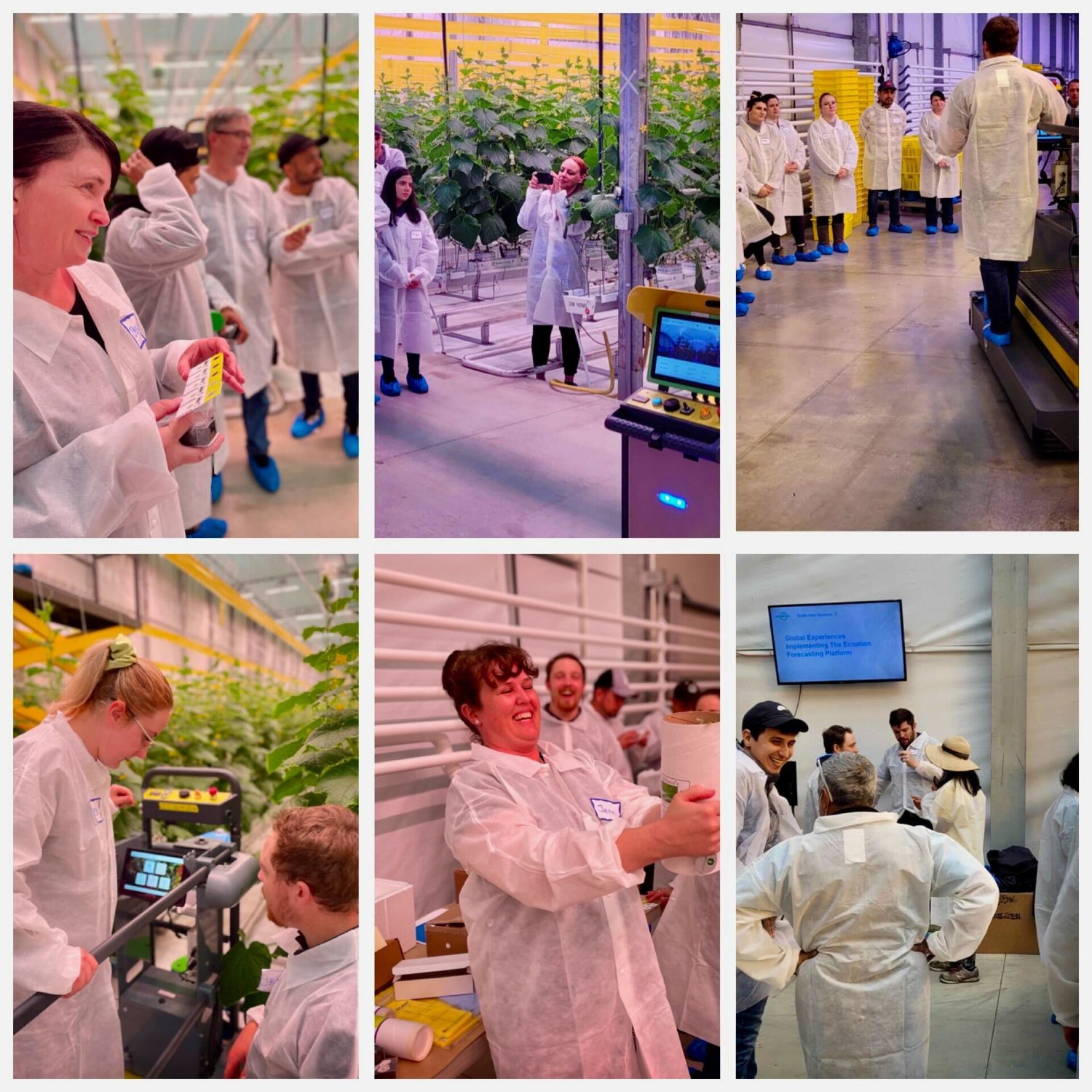 Workshop on IPM (Integrated Pest Management), Digital Scouting, Yield ...