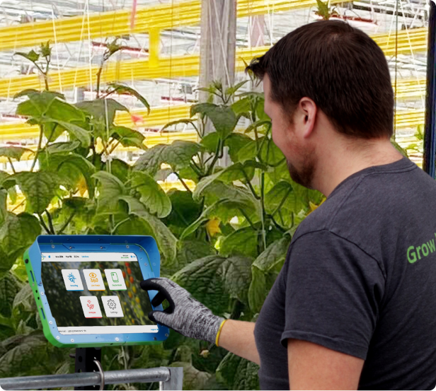 Modernizing Greenhouse Yield Predictions: Harnessing AI for More ...