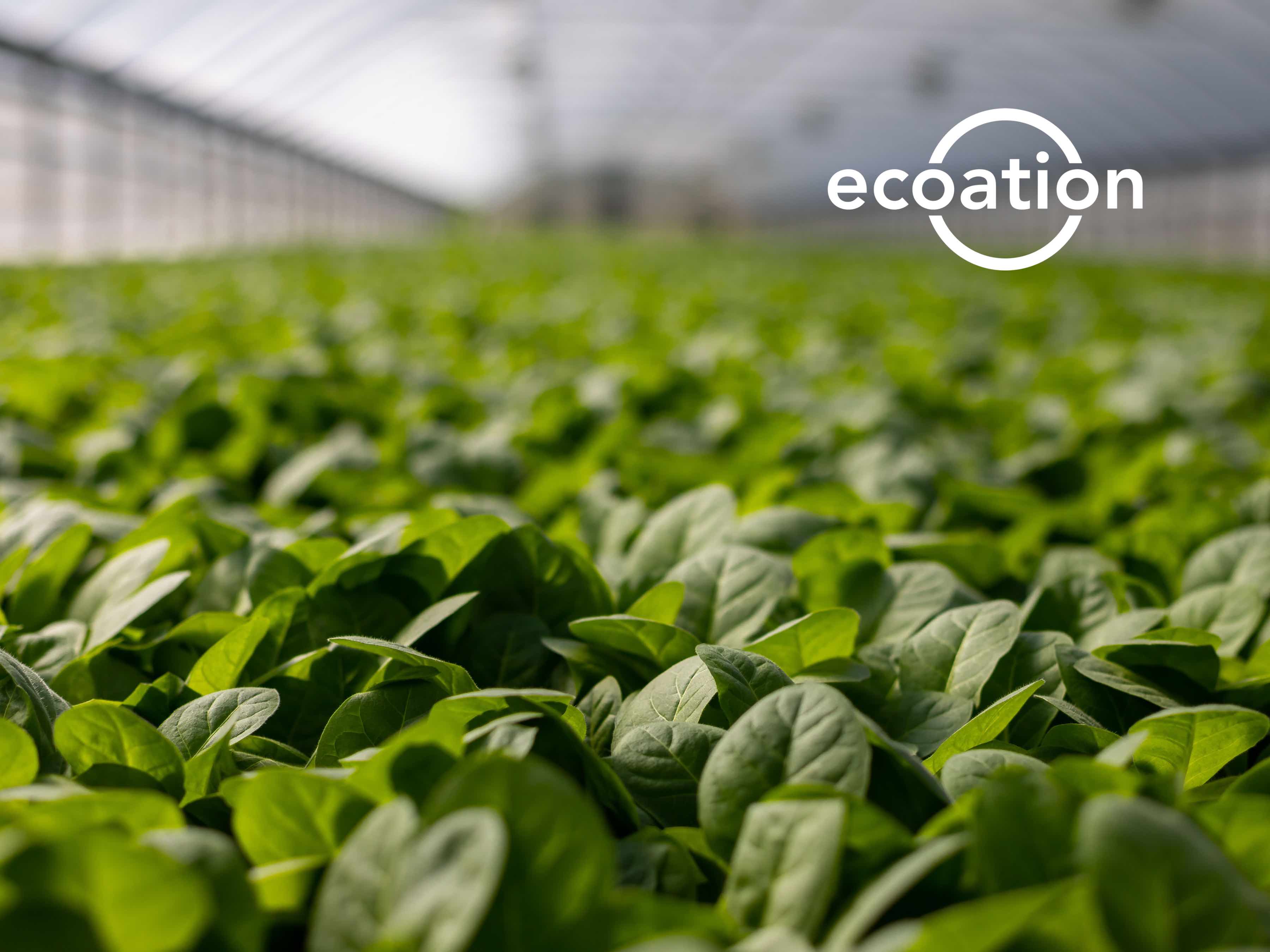 Ecoation Awarded Patent in the U.S. for Stereo-Spatio-Temporal Crop ...
