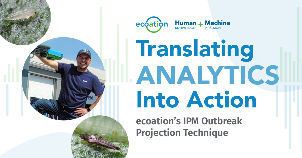Analytics to Action: ecoation’s IPM Outbreak Projection Warns Growers ...
