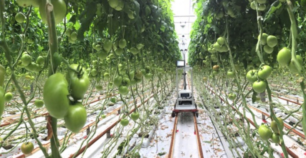 Ecoation Signals a New Age of Agriculture