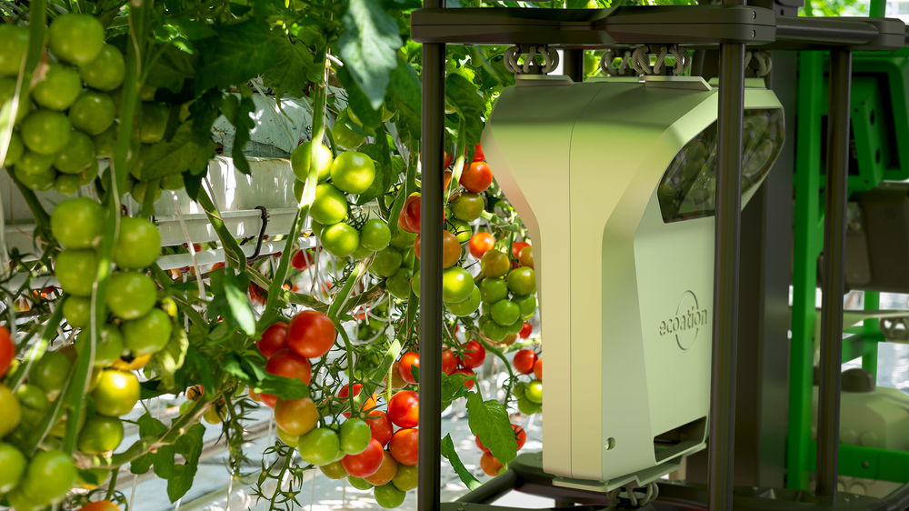 Technology and the future of horticulture: a view from Canada