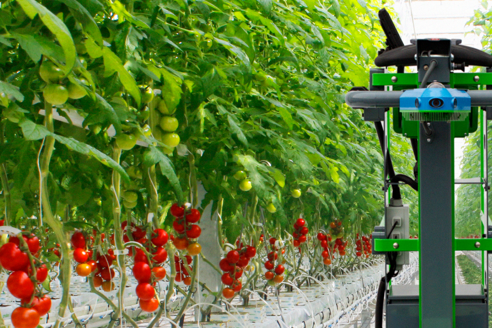 IPM 2.0 - The Role of AI and Robots in the Success of Pest Management ...