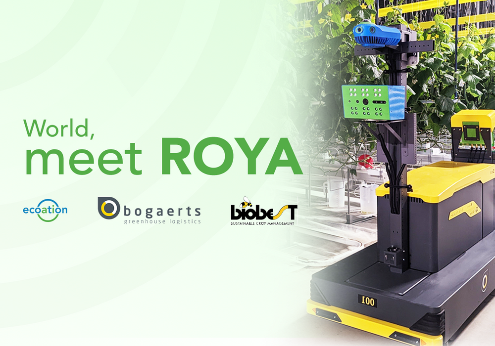 World, meet ROYA - The IPM scouting and Yield Forecasting robot for ...