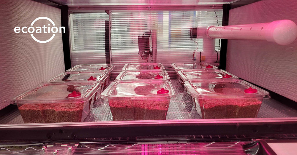 Ecoation Welcomes the Canadian Space Agency for their First Glimpse of ...