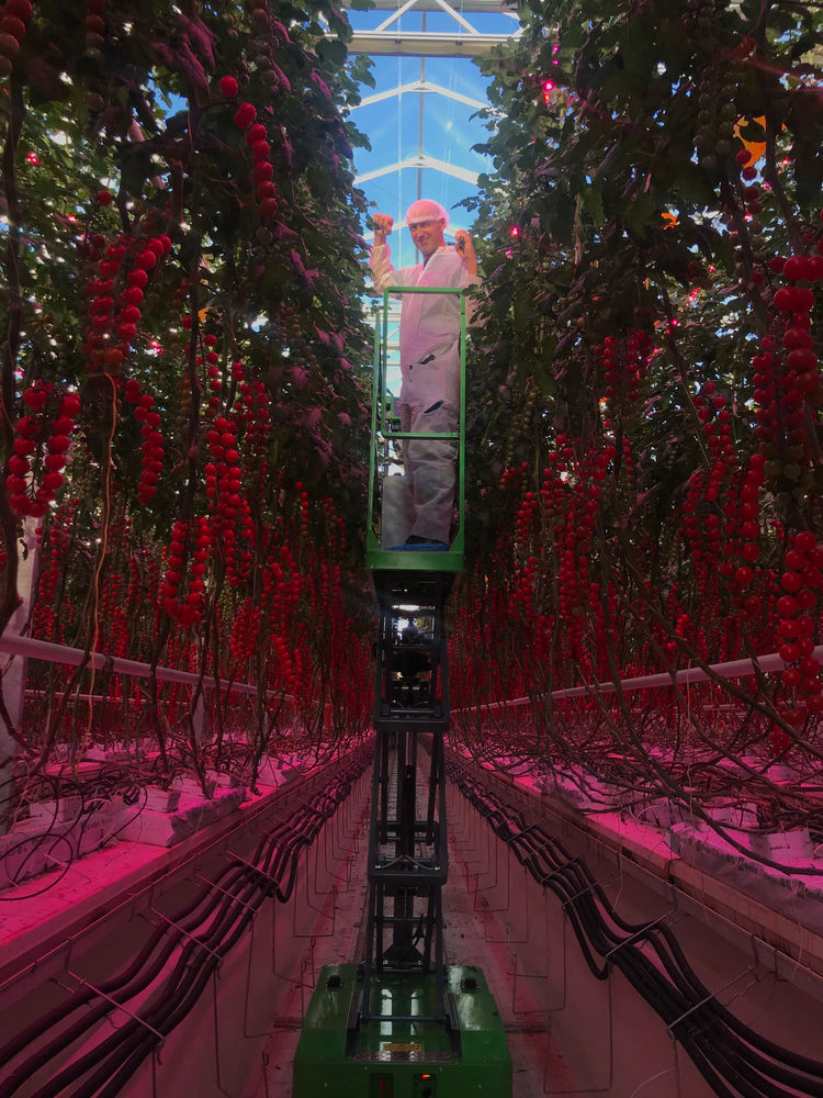 Ecoation launched its first OKO machine in Europe