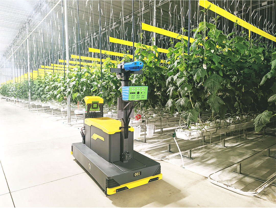 The Future of Robotic Farming in the Greenhouse Industry