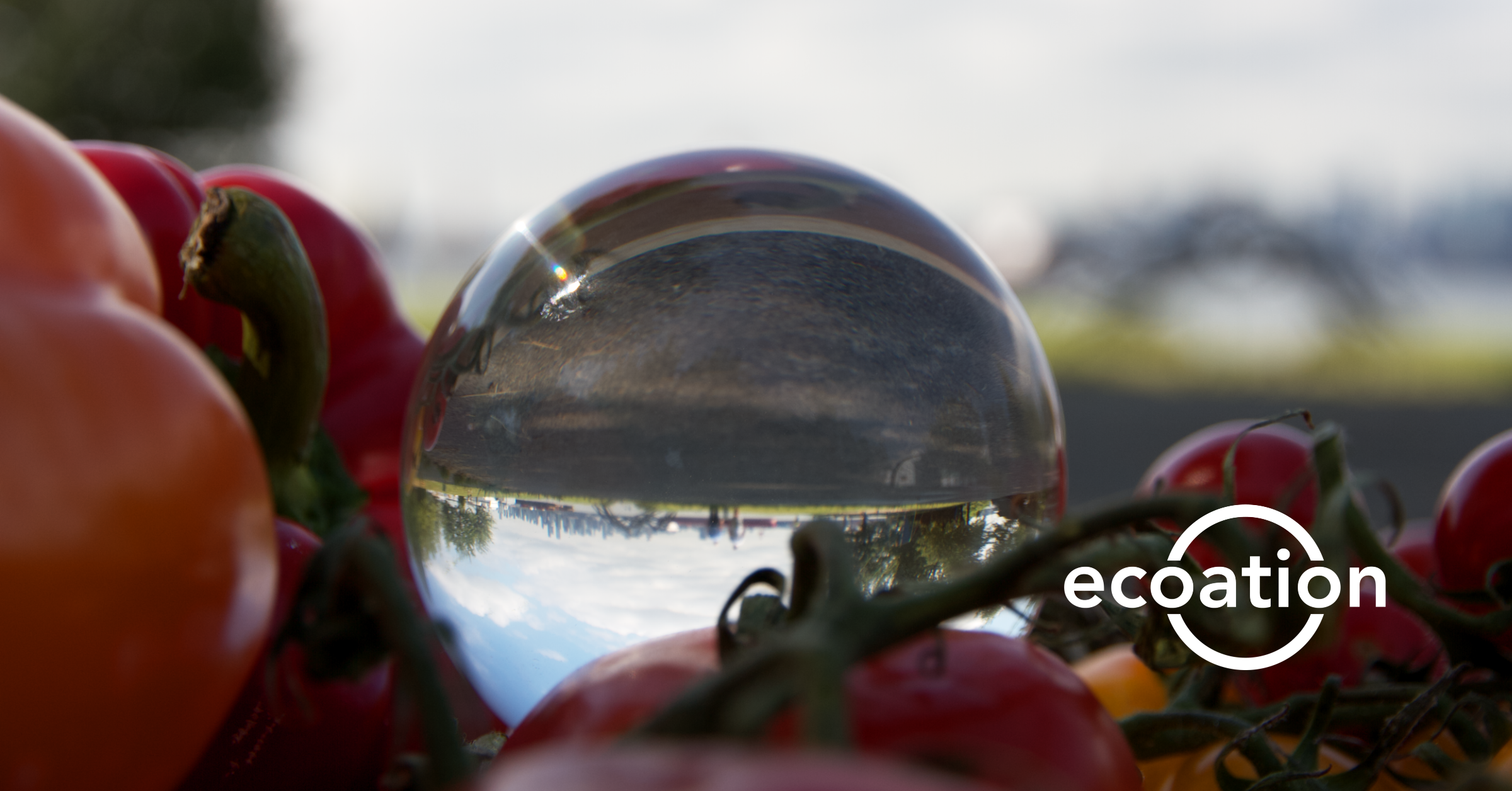 Spending Smart: Leveraging Data-Driven Growing Techniques to Optimize ...