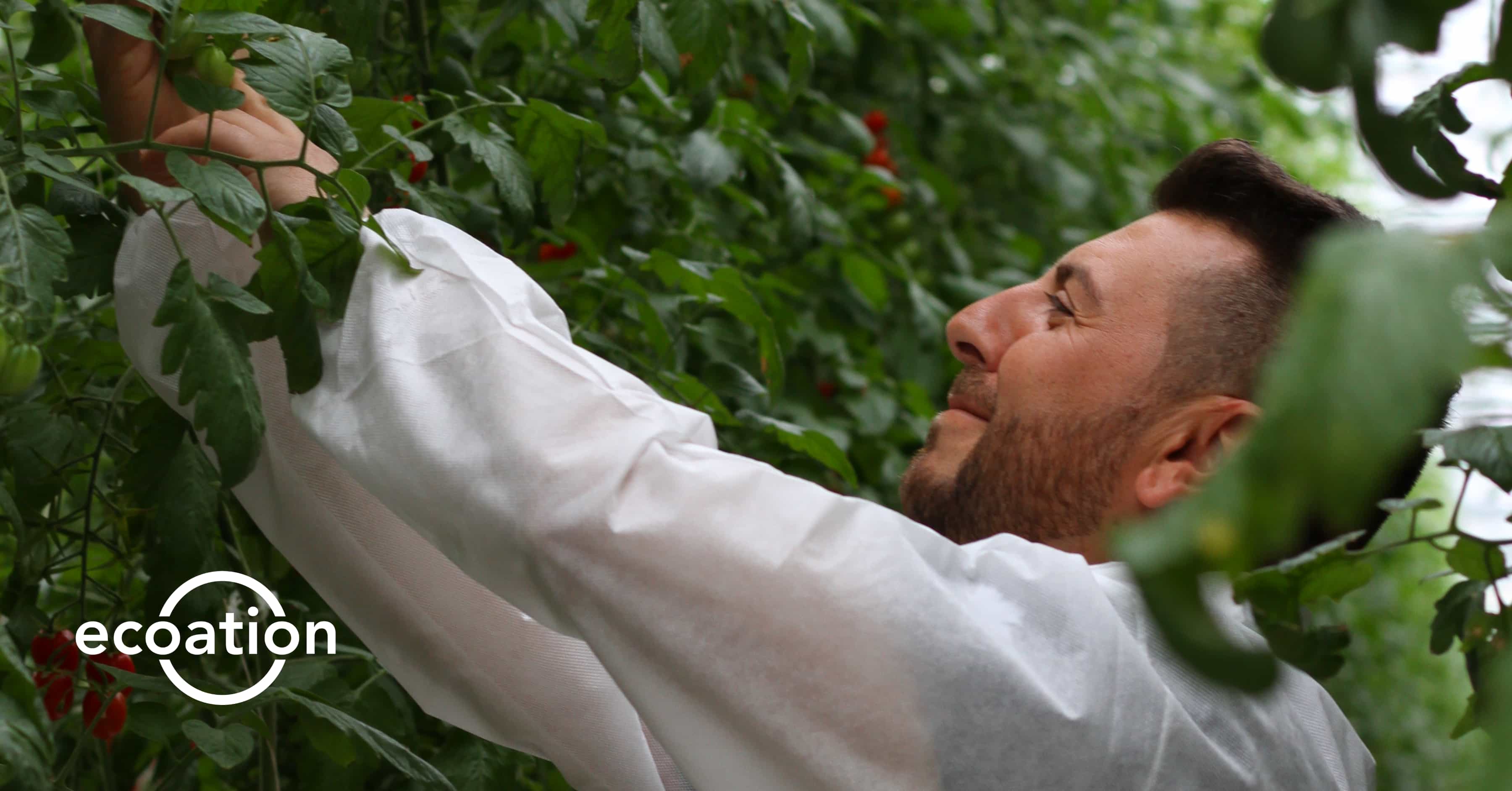 Crop work and its impact on crop health and production