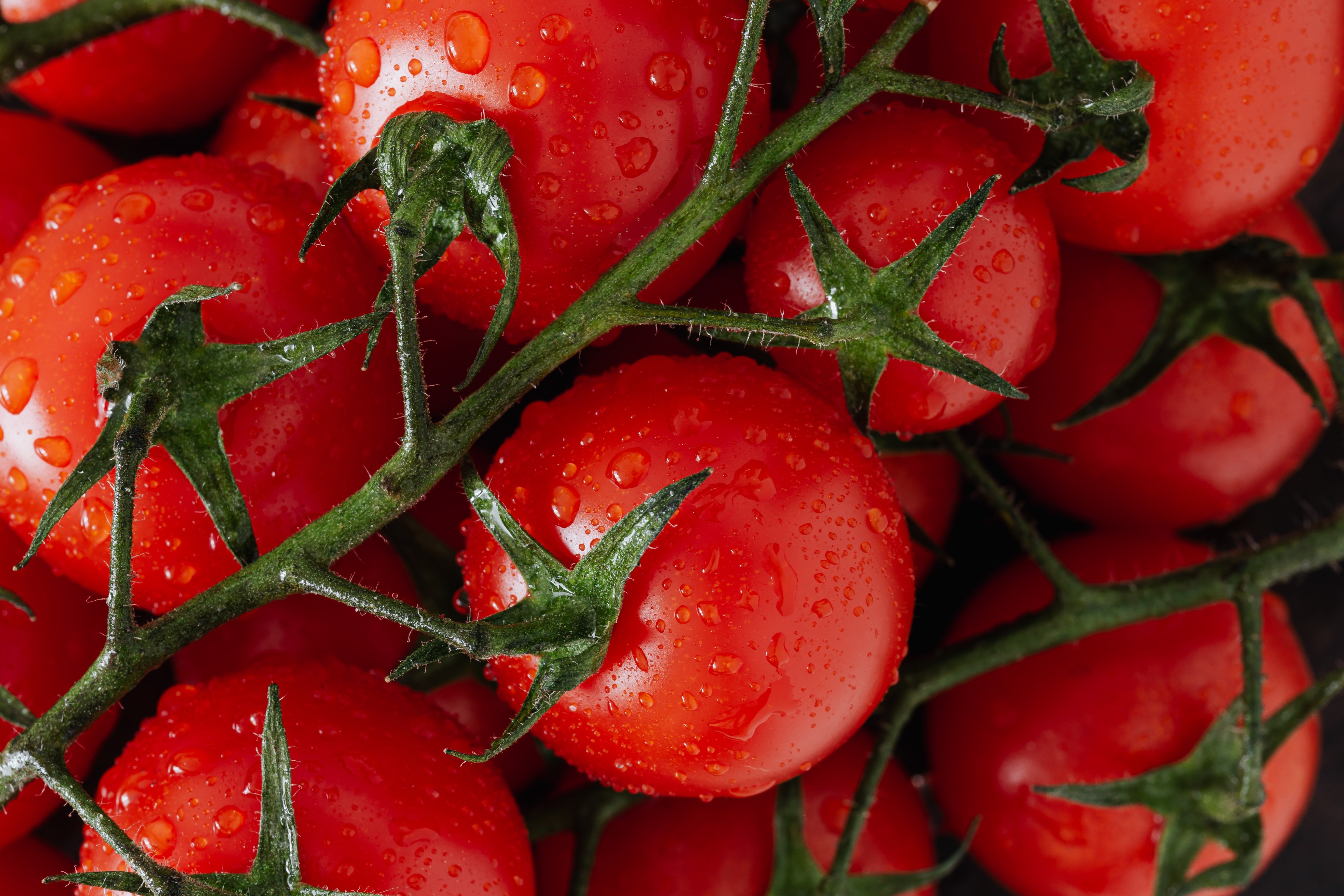 Using Historical Data for Yield Forecasting in a Greenhouse